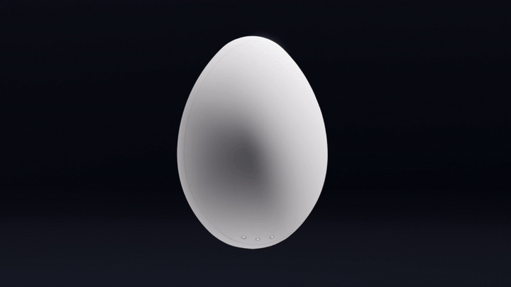 The Egg – Enron Corporation